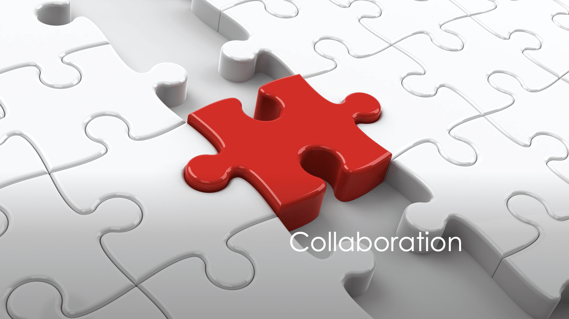 Membership Benefits – ISNS